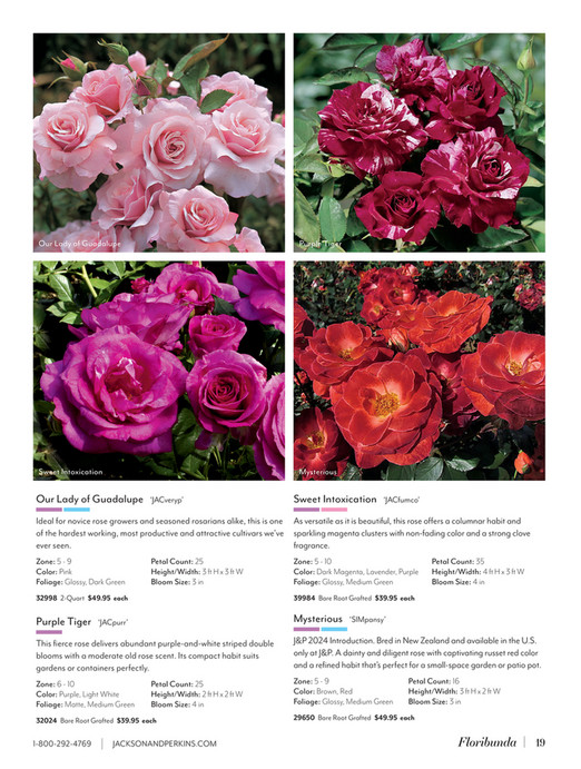 Jackson & Perkins - J&P 2025 Spring Catalog - Page 18-19
